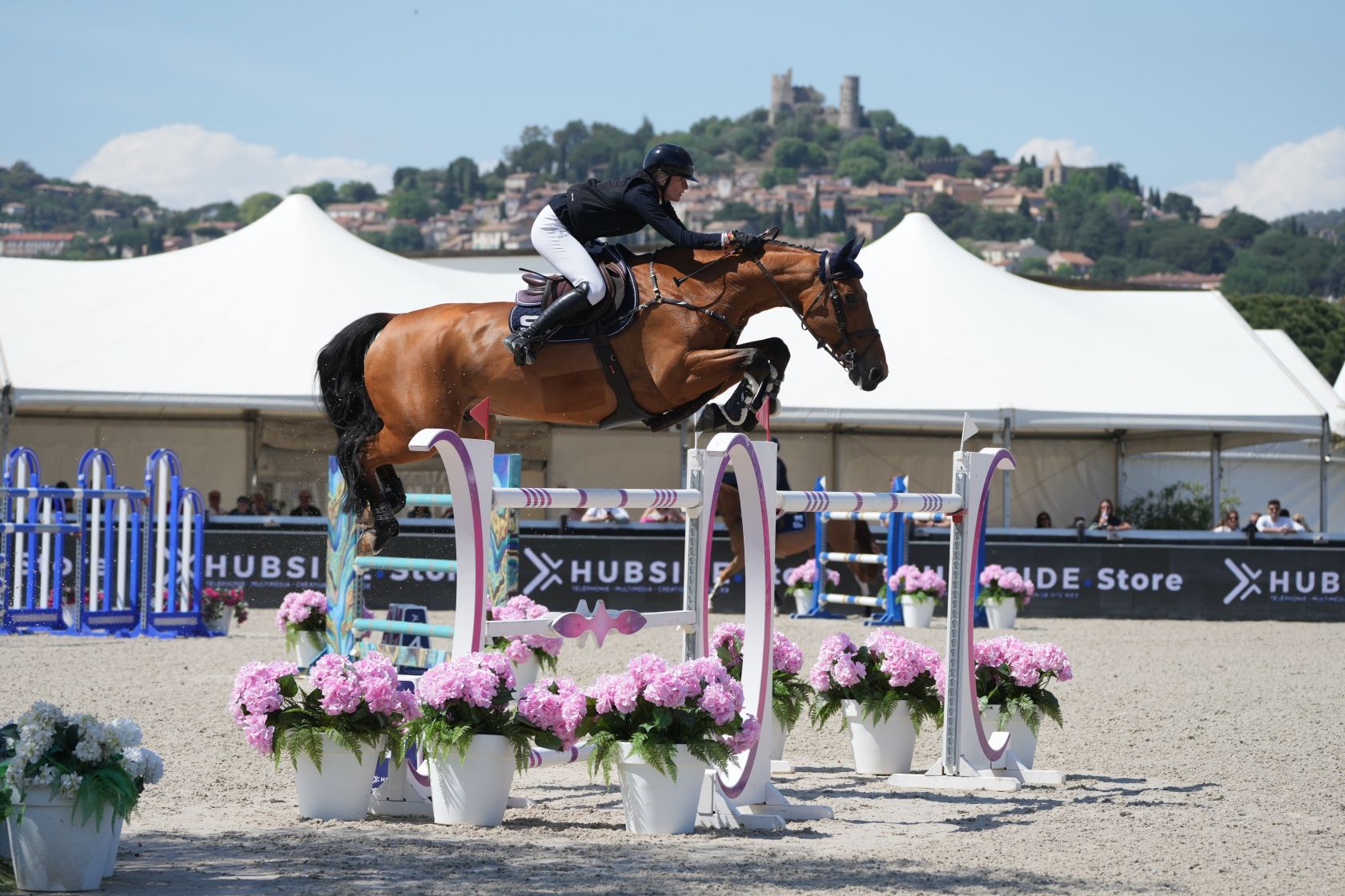 HH CONRAD Z - BEWÄHRTE REFERENZEN: AUS SPITZENSPORT ENTSTEHT SPITZENSPORT! | Gestüt Zangersheide
